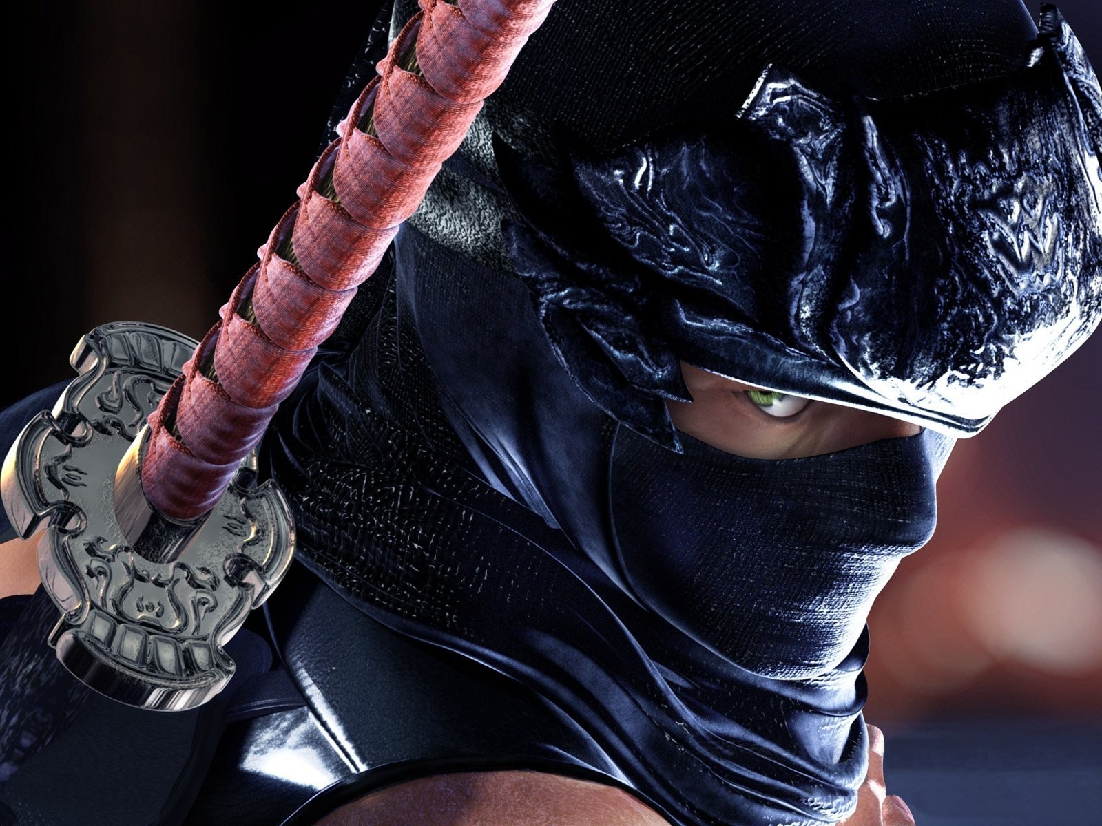 El núcleo duro del Team Ninja quiere hacer más Ninja Gaiden