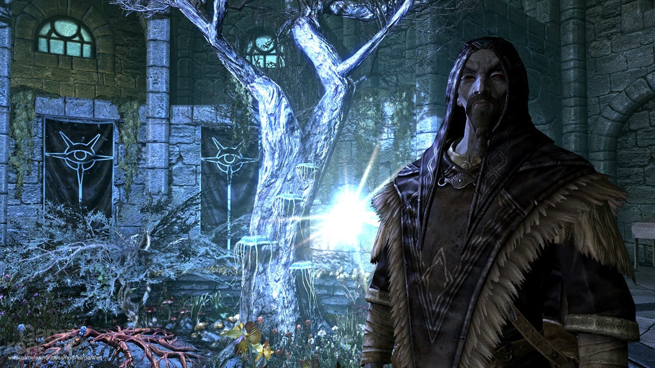 The Elder Scrolls V: Skyrim Análisis - Gamereactor