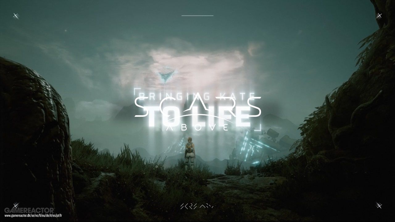 Meet Scars Above Star Kate Ward