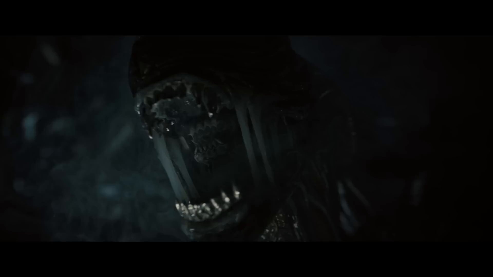 Alien: Romulus llega a plataformas VOD el 15 de octubre, para verla ...