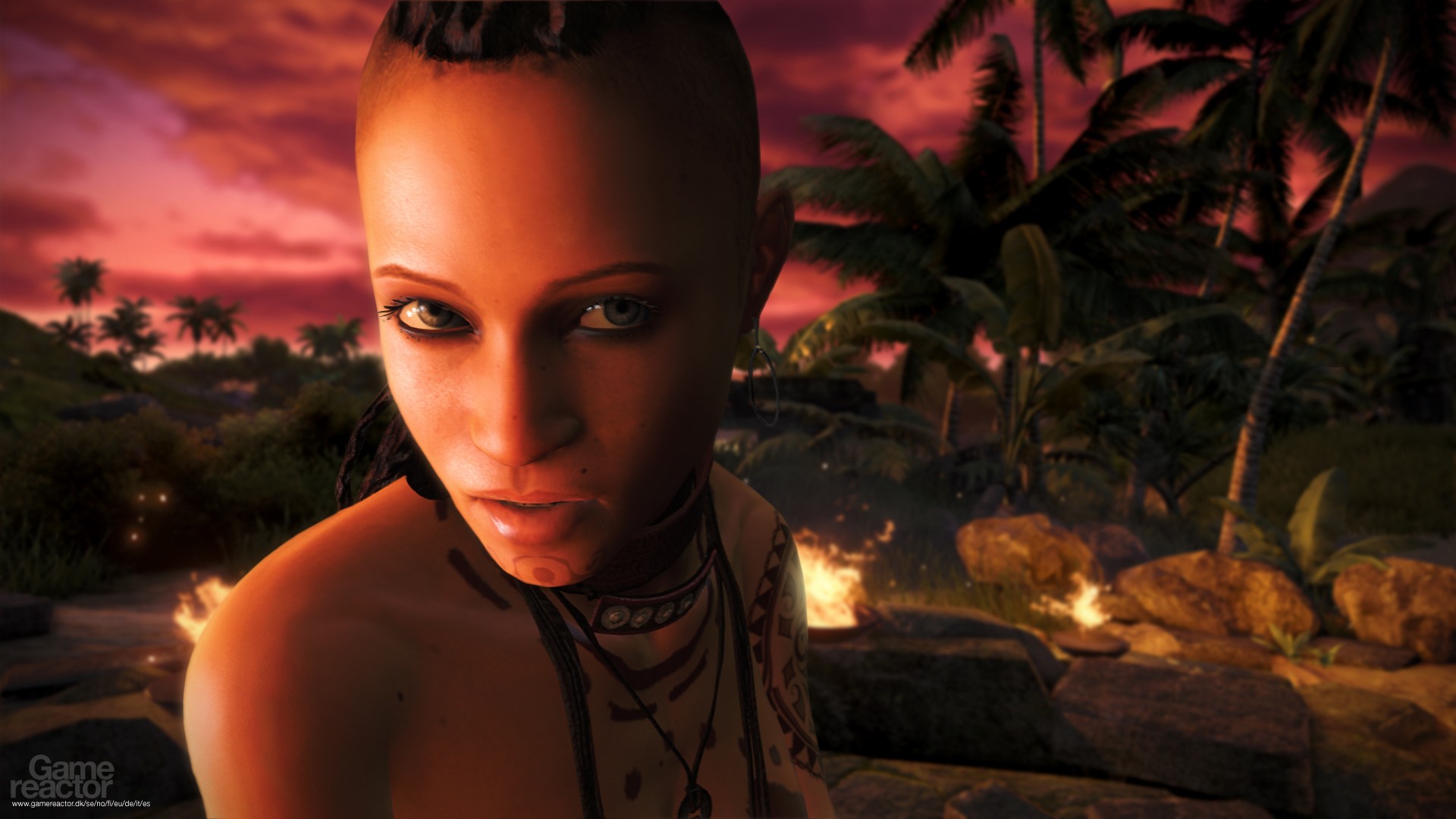 Far Cry 3: requerimientos para PC