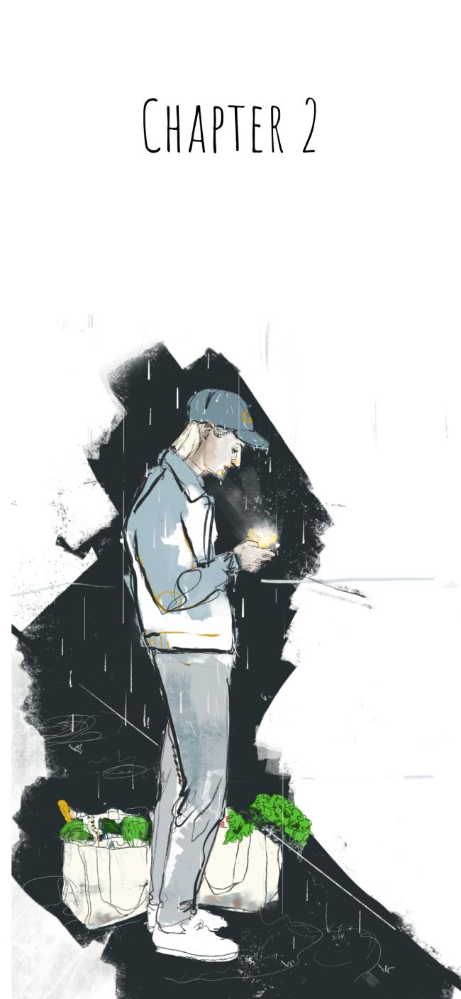 Hey Turtle - Análisis