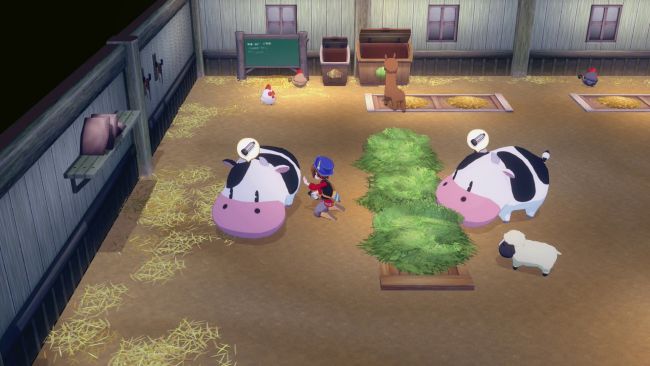Avance de Story of Seasons: Grand Bazaar, remake del juego de DS para ...