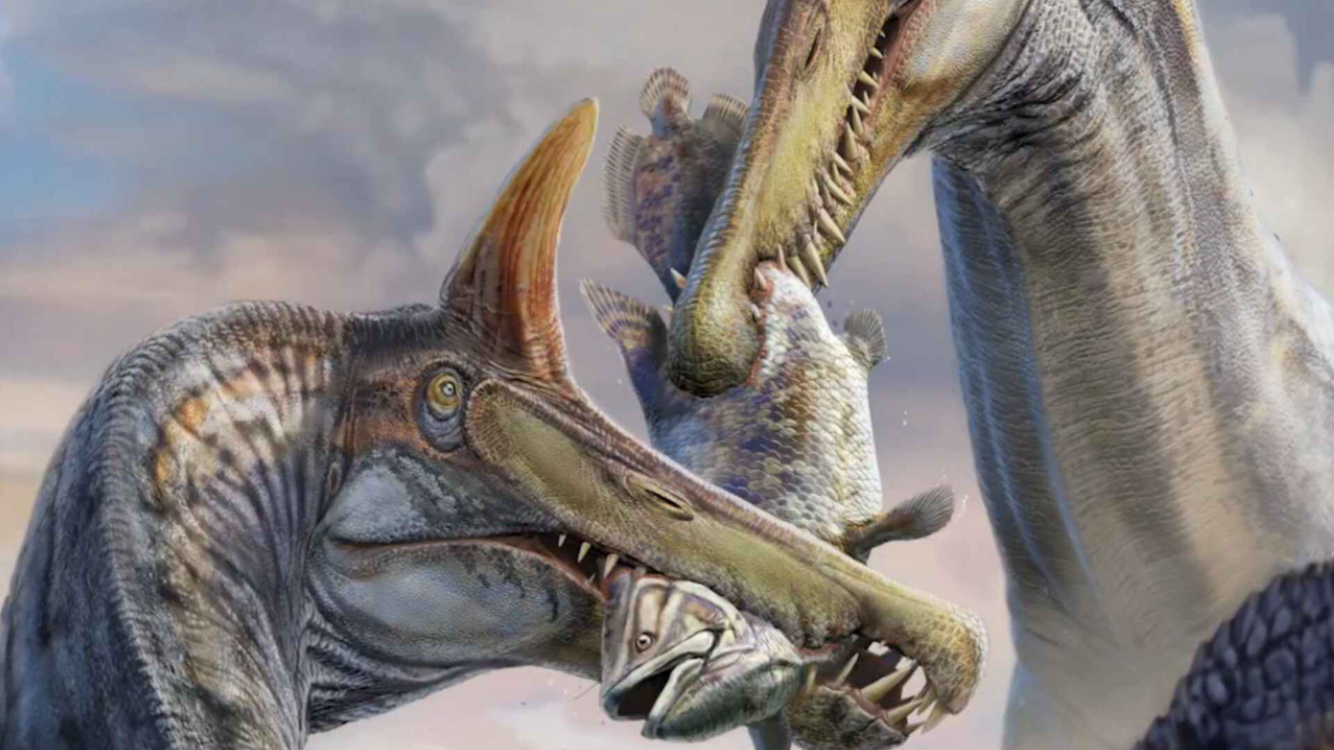 Nombran la primera nueva especie de Spinosaurus desde 1915