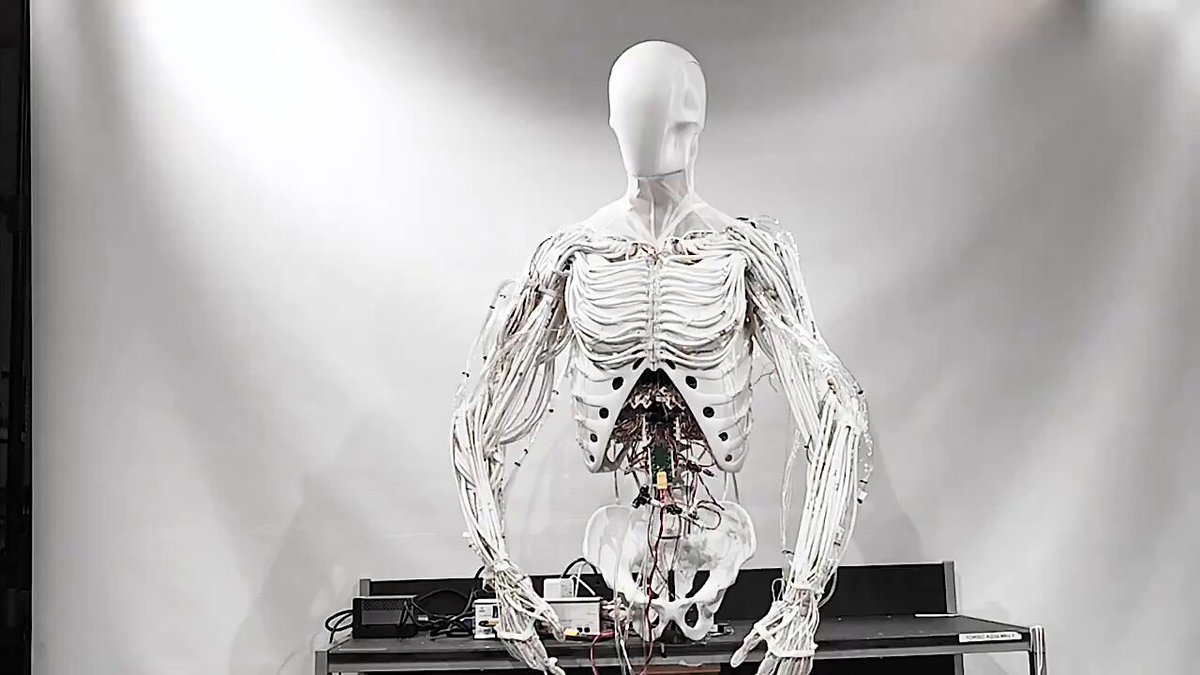 La robótica avanza a pasos agigantados, y CLone ha presentado un nuevo androide con músculos ...