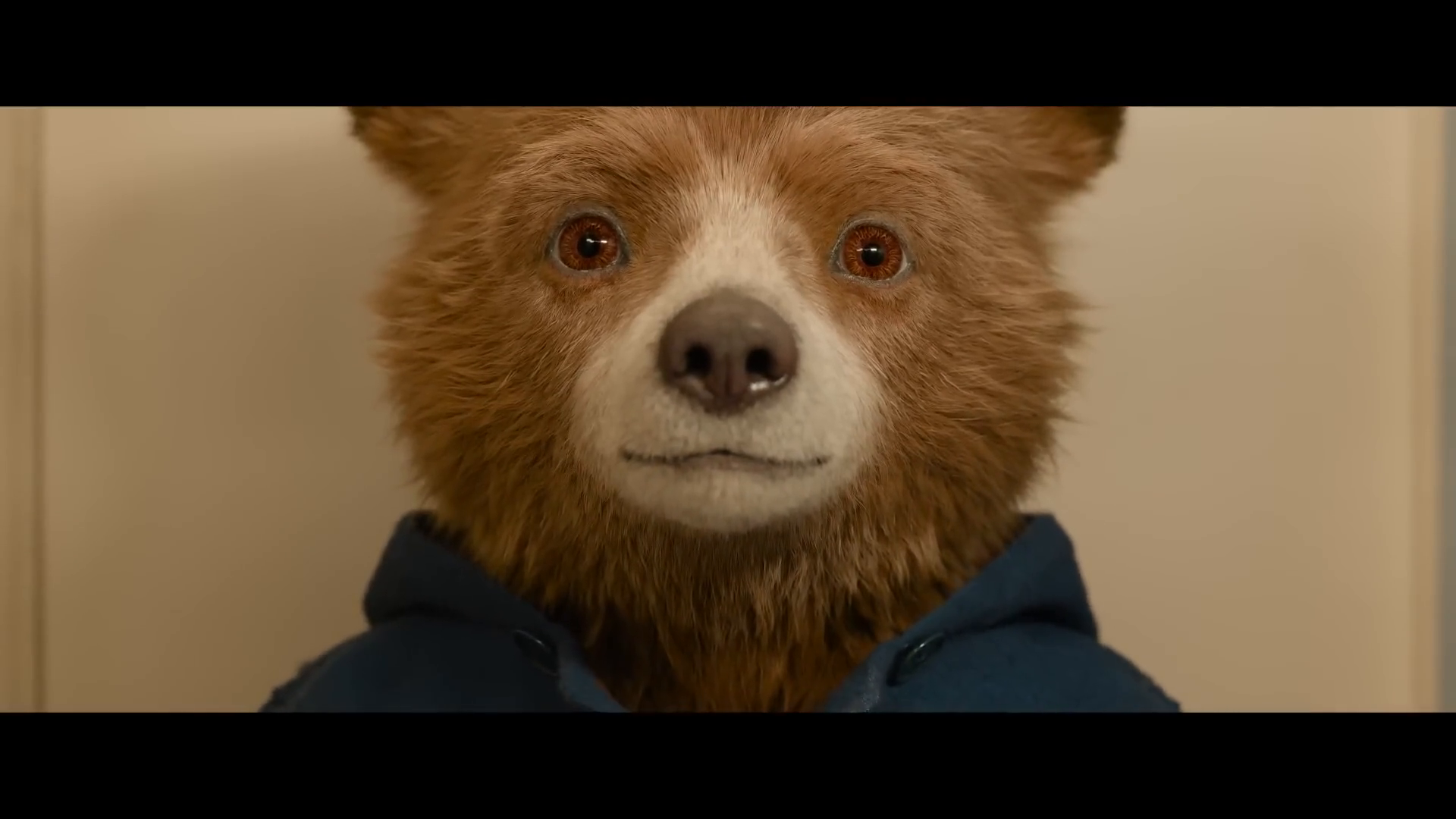 Nuevo tráiler de la adorable Paddington en Perú