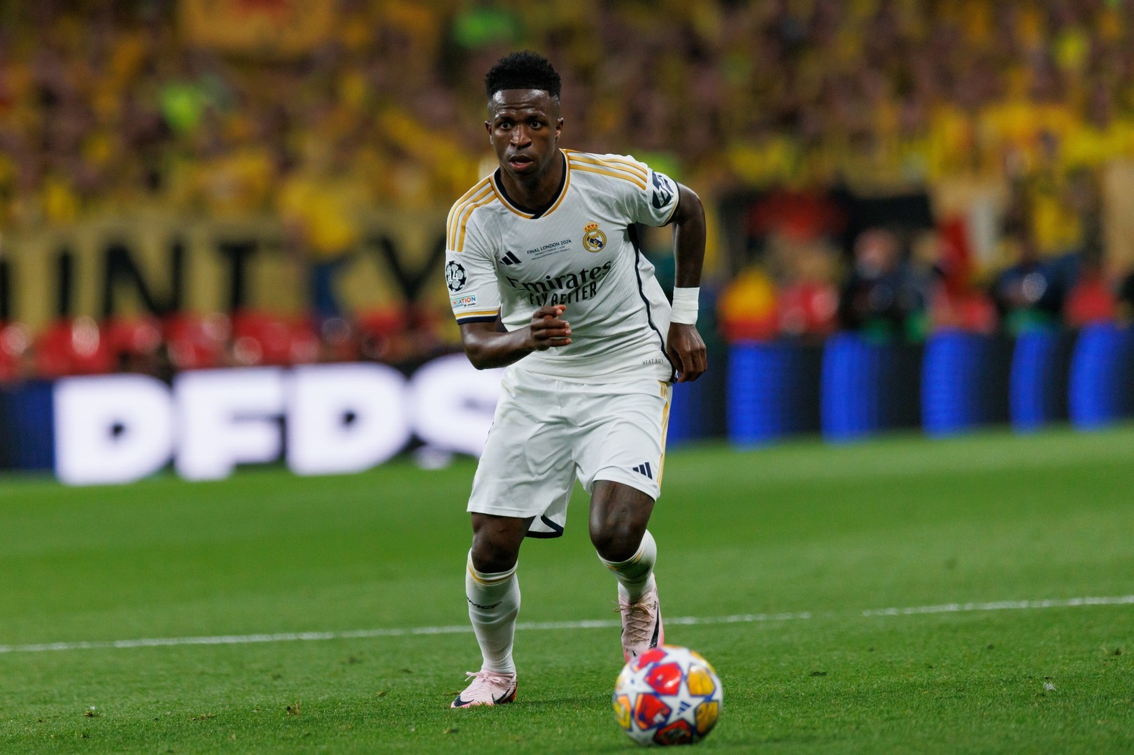 Baila, Vini: el documental de Netflix tiene tráiler y fecha